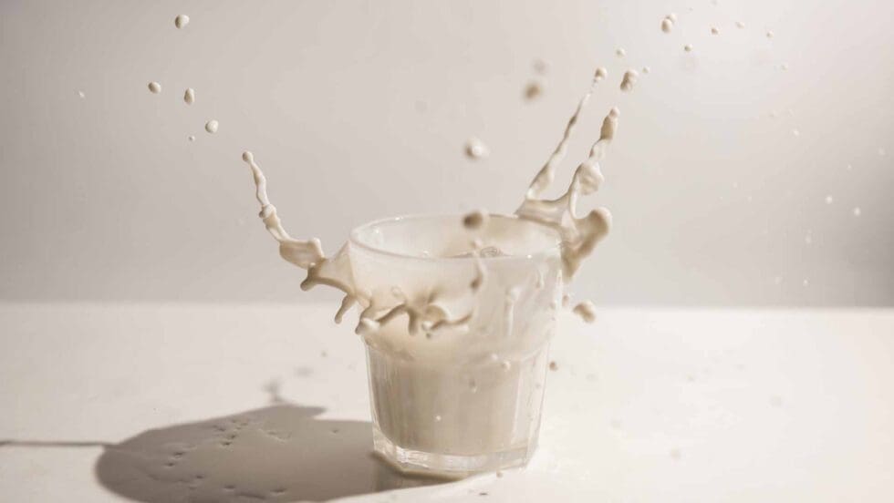 Full-Fat Vs Low-Fat Dairy: Which Is Better For Weight Loss?